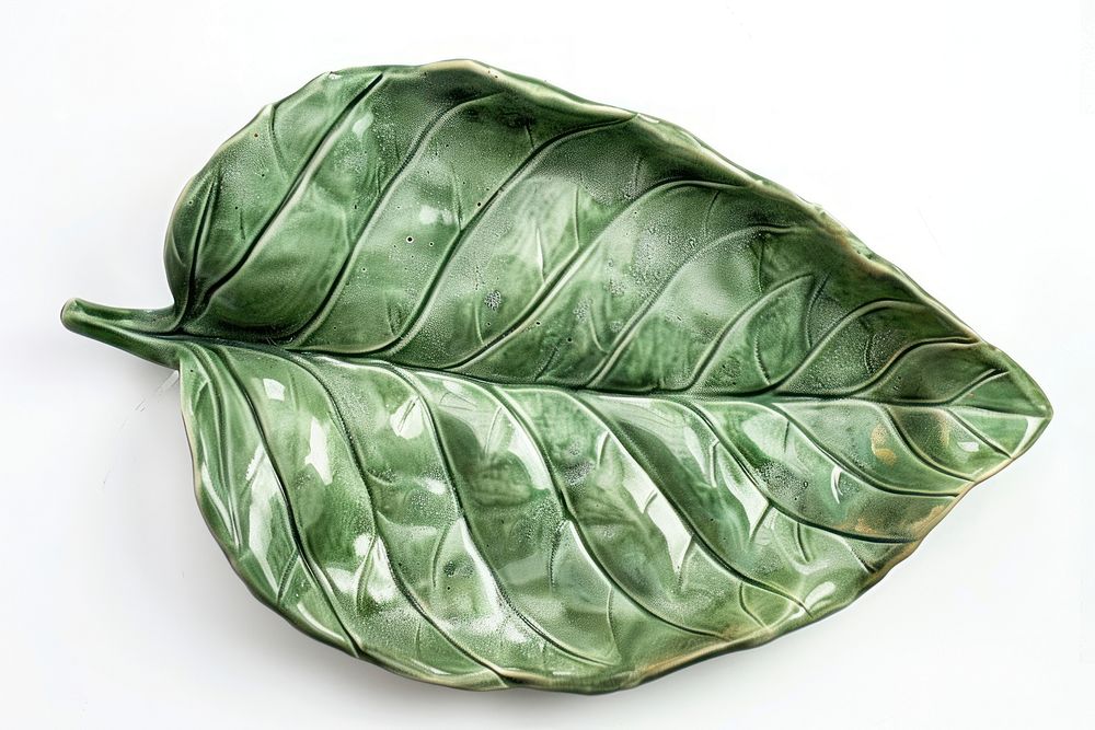 Green ceramic leaf plate | Free Photo - rawpixel