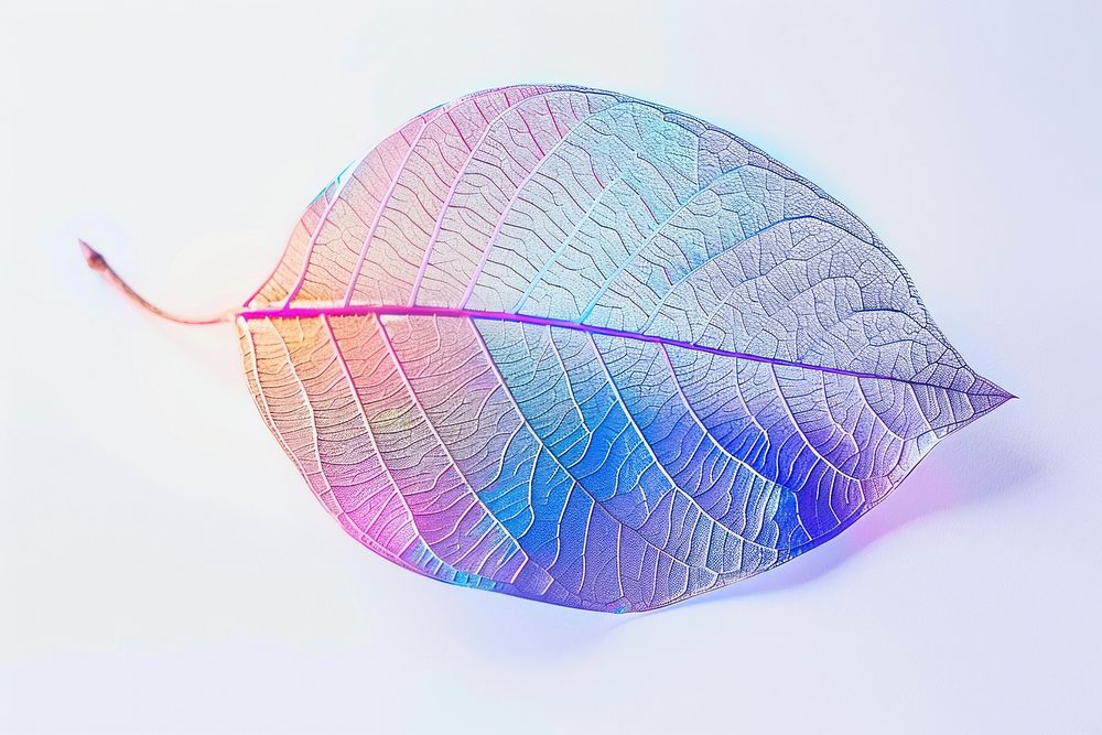 Colorful translucent leaf art | Free Photo - rawpixel