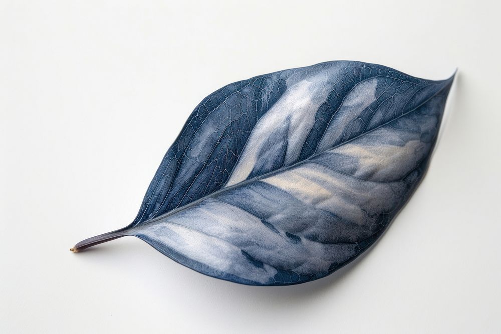Artistic blue leaf design | Free Photo - rawpixel