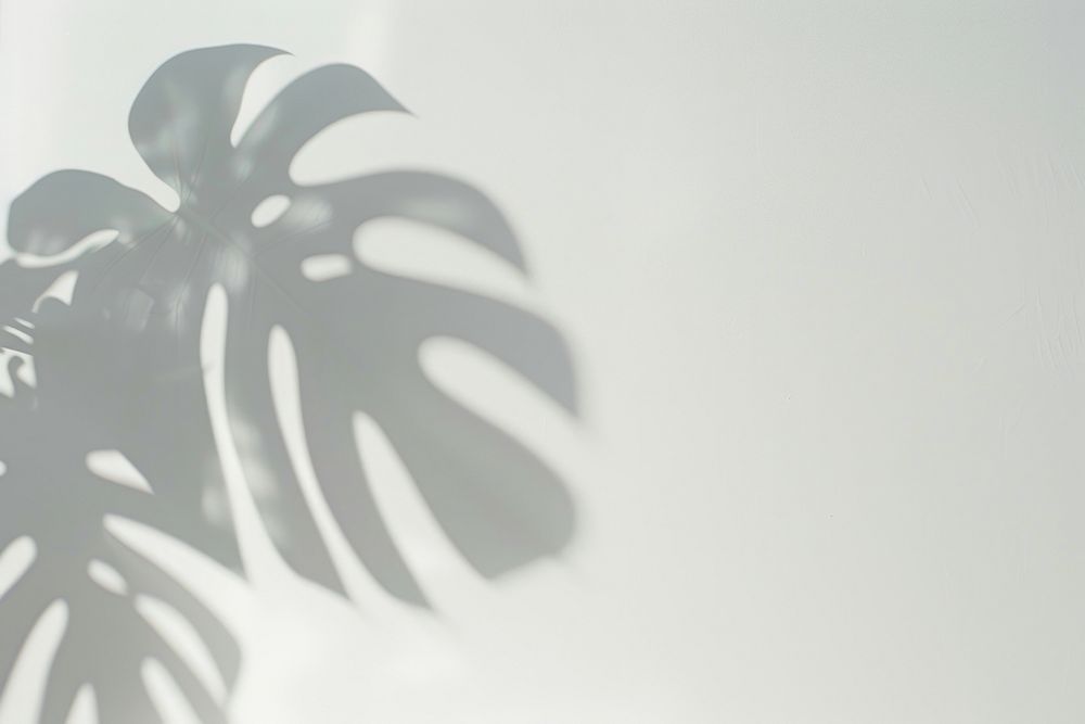Monstera leaf shadow on wall | Free Photo - rawpixel