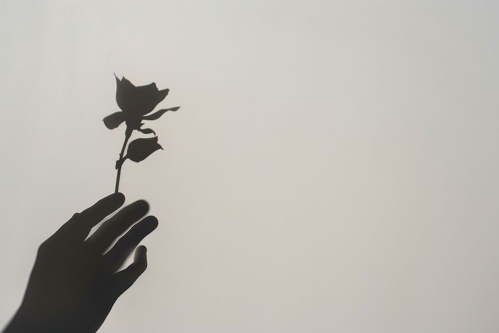 Shadow hand holding rose | Free Photo - rawpixel