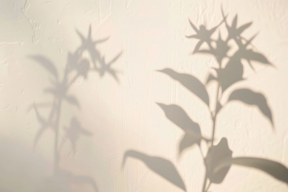 Shadows of plants on wall | Free Photo - rawpixel