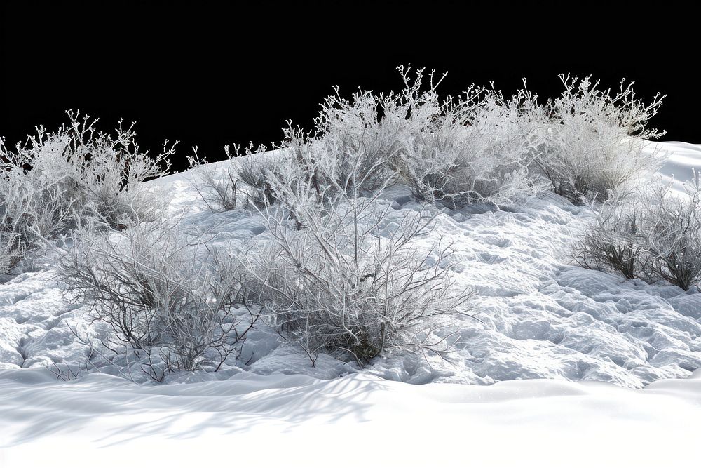 Snowy winter landscape with bushes | Free Photo - rawpixel