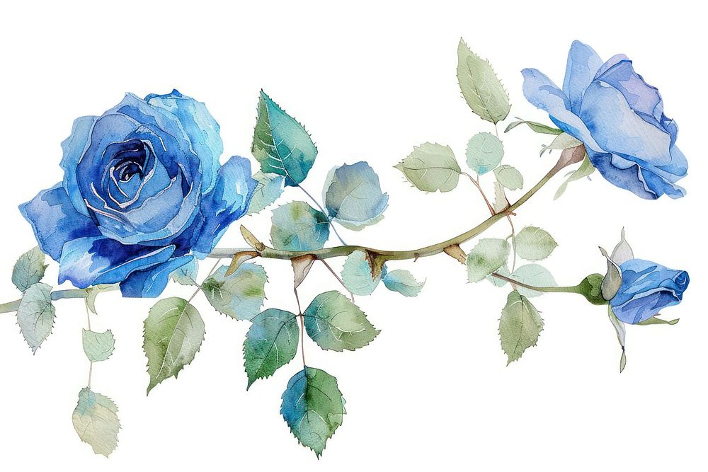 Blue watercolor roses with leaves | Free Photo Illustration - rawpixel