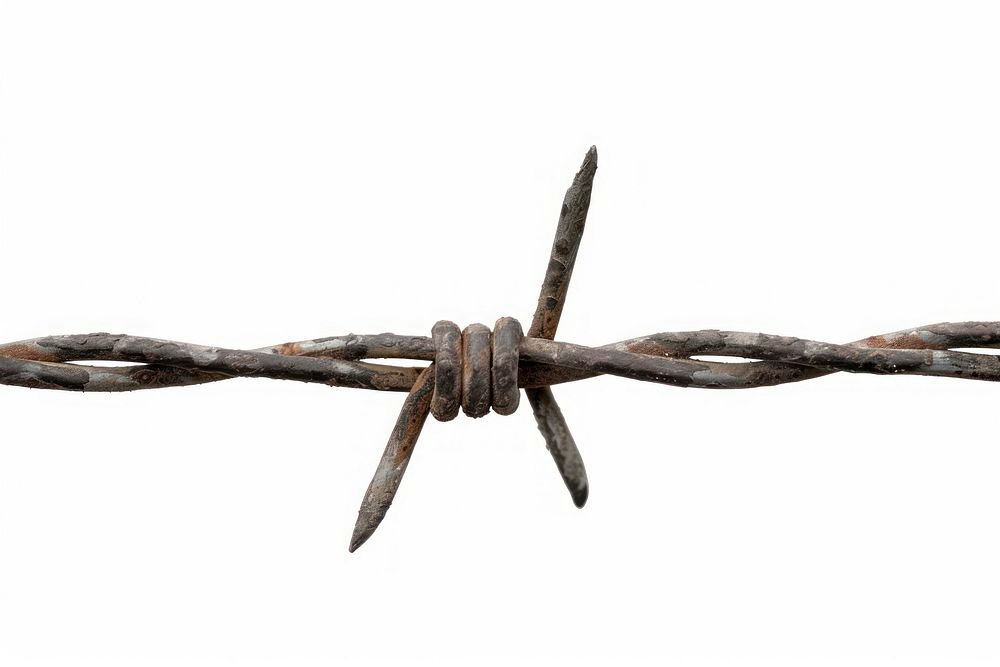 Barbed wire barbed wire weaponry | Free Photo - rawpixel