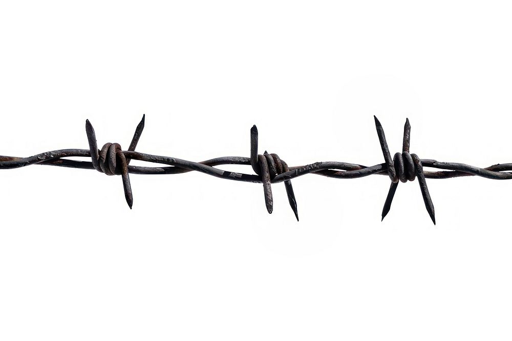 Barbed wire barbed wire weaponry | Free Photo - rawpixel