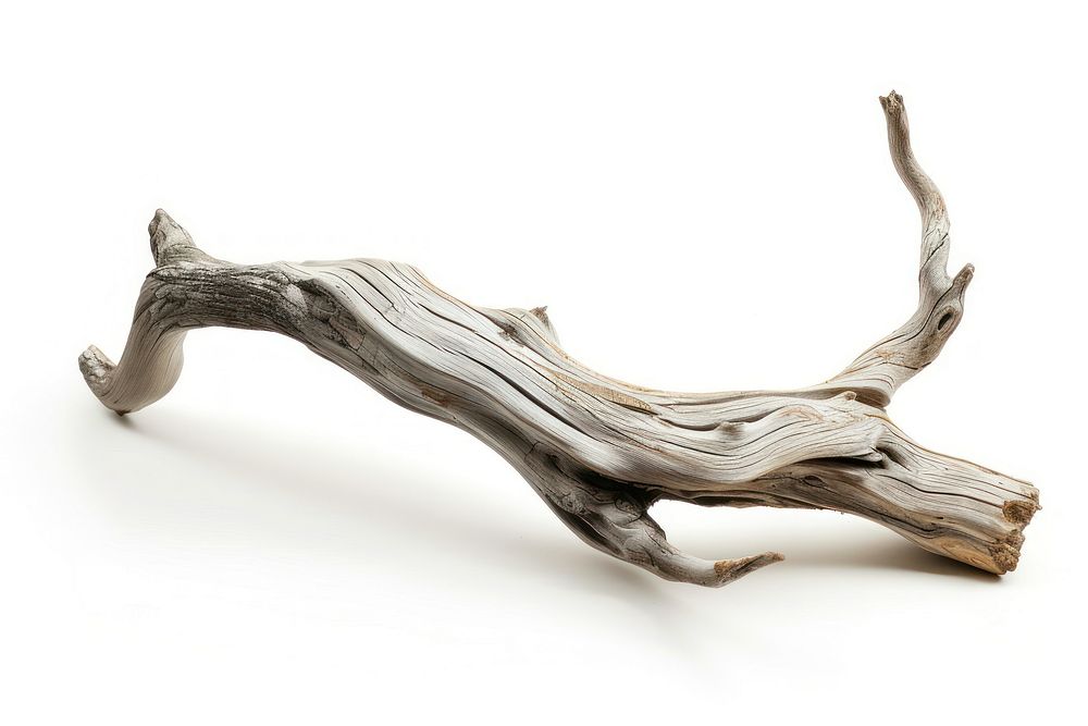 Natural driftwood branch isolated | Free Photo - rawpixel