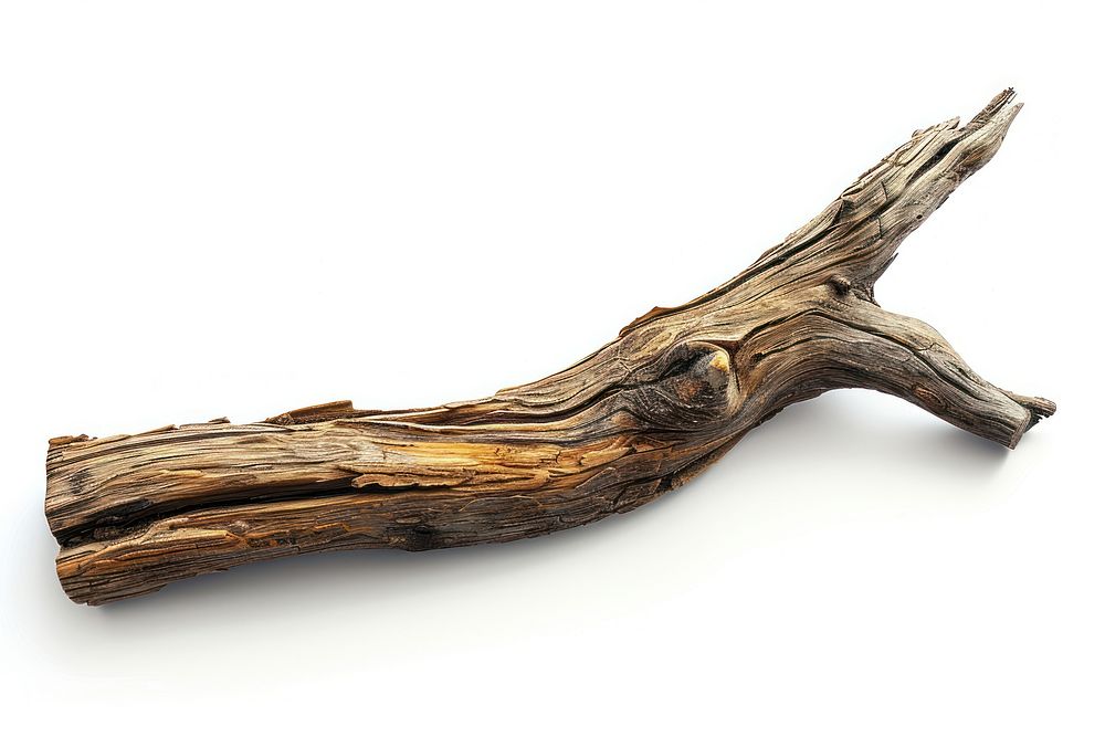 Natural rustic wooden tree branch | Free Photo - rawpixel
