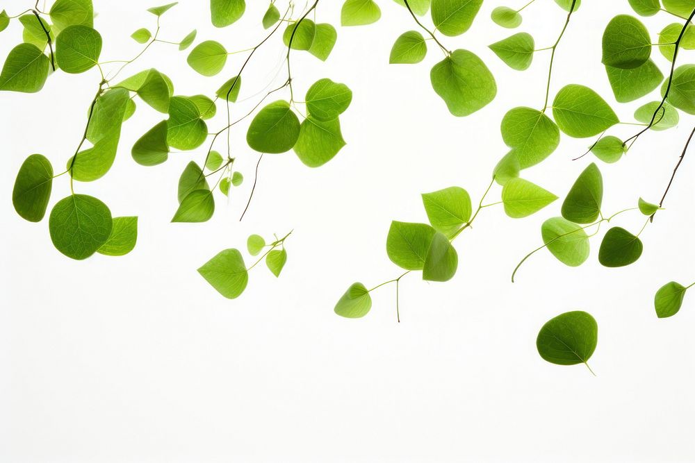 Green leaves flying plant leaf | Free Photo - rawpixel