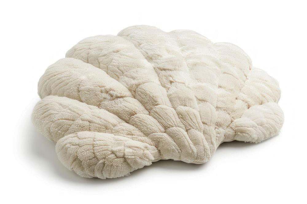 Plush shell-shaped decorative pillow | Free Photo - rawpixel