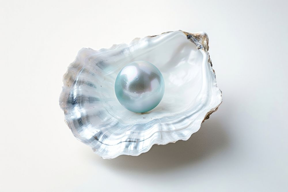 Elegant pearl inside seashell | Free Photo - rawpixel