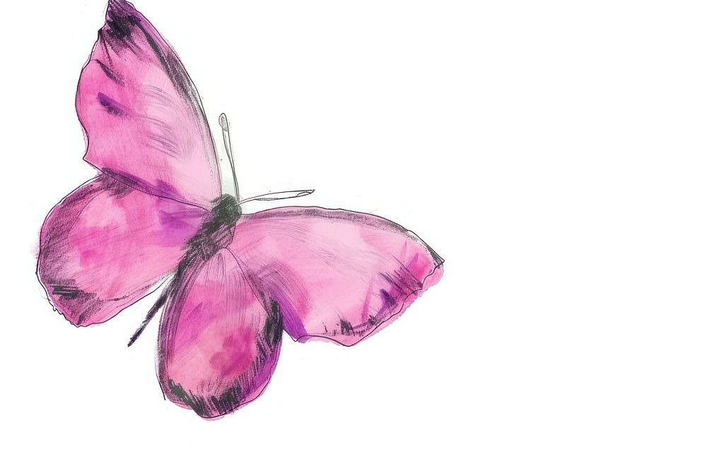Pink butterfly sketch illustration | Free Photo Illustration - rawpixel