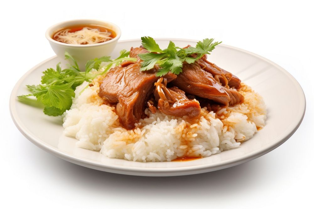 Delicious savory pork rice dish | Free Photo - rawpixel
