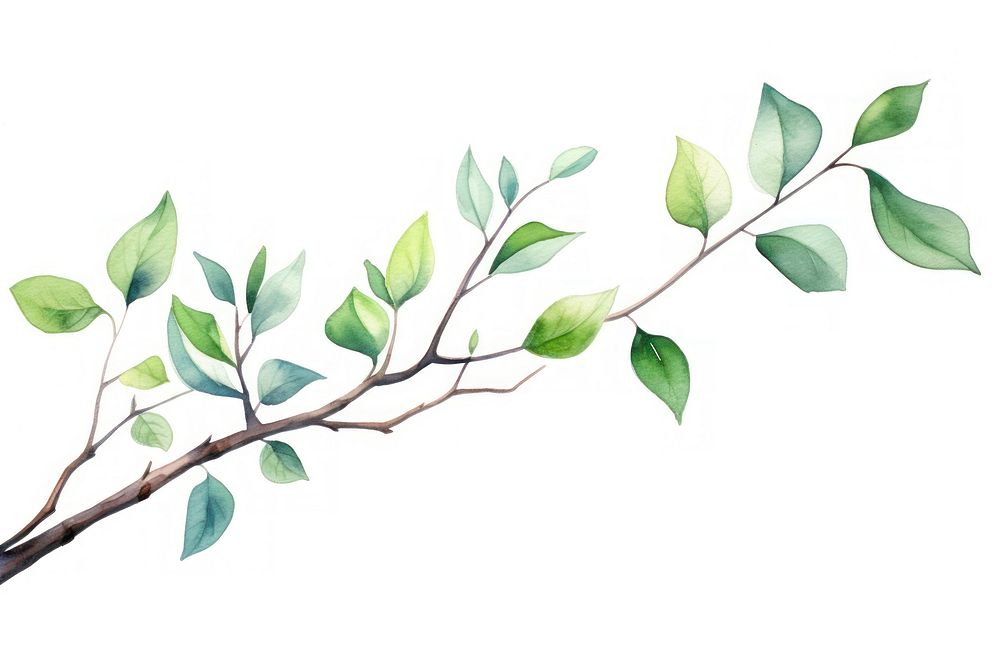 Tree branch watercolor illustrated annonaceae | Free Photo Illustration ...