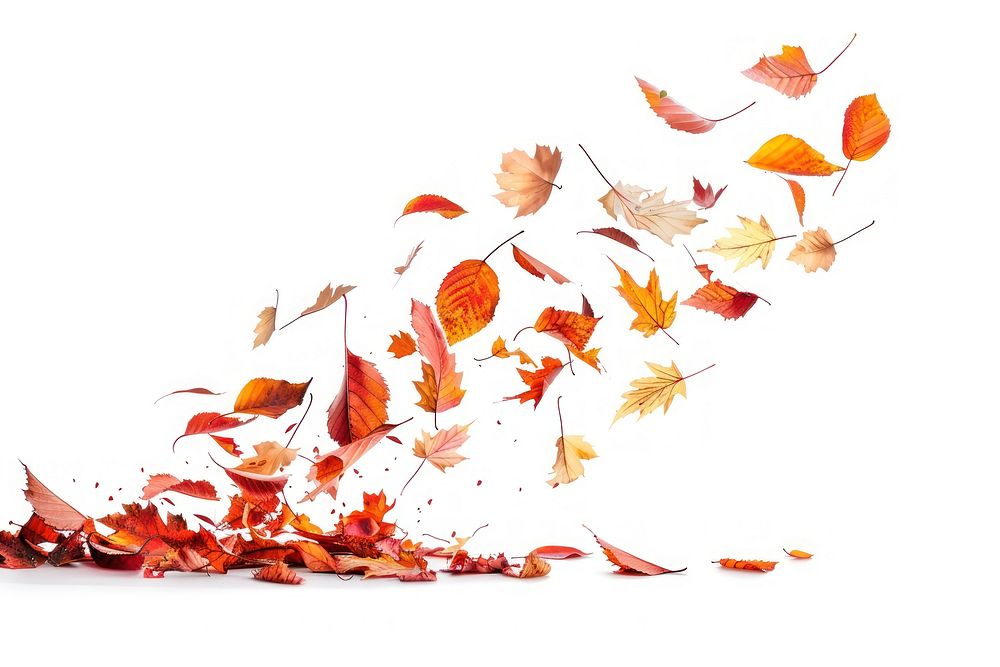 Autumn leaves blowing in wind | Free Photo - rawpixel