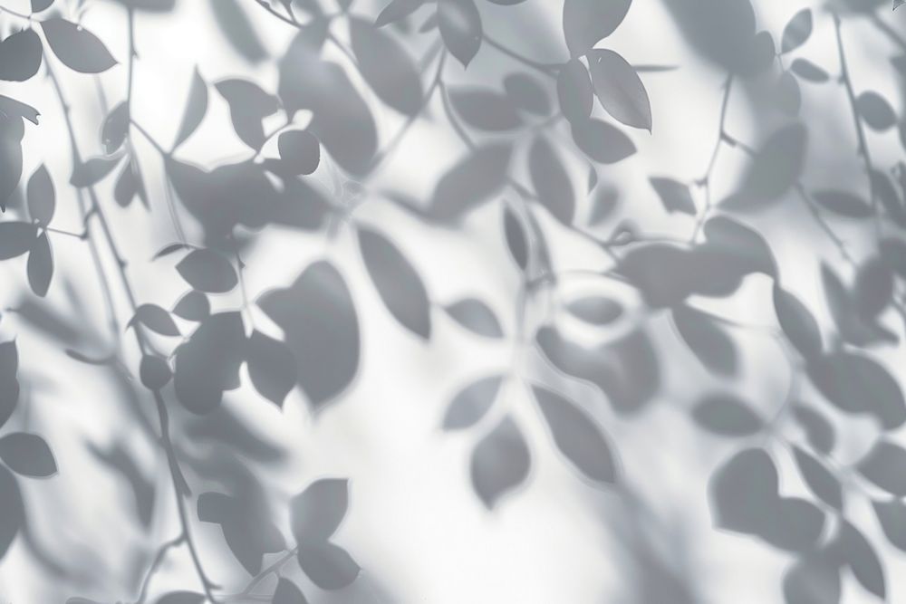 Abstract leaf shadows on wall | Free Photo - rawpixel