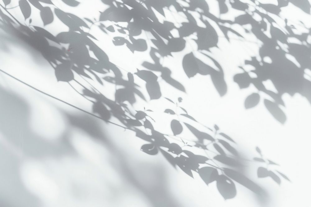 Soft shadowed leaves pattern | Free Photo - rawpixel