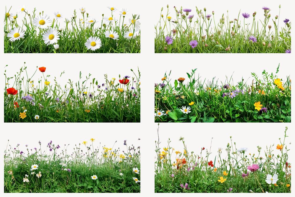 Wildflower border design element set | Free Photo - rawpixel