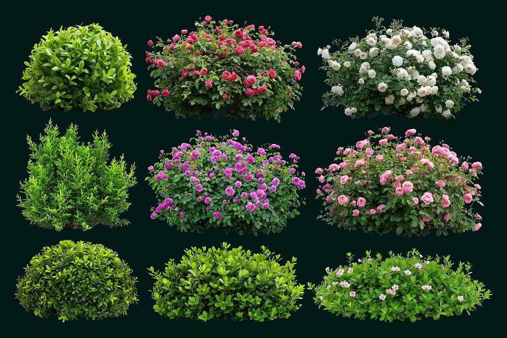 Flower bush design element set | Free Photo - rawpixel
