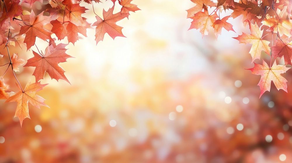 Autumn leaves desktop wallpaper | Free Photo - rawpixel