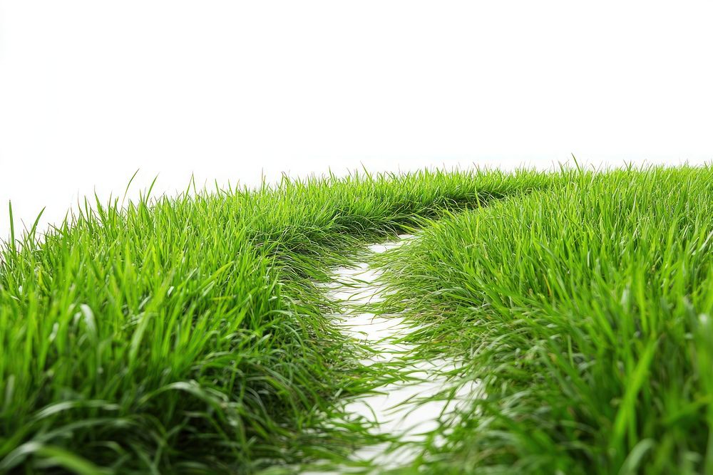 Green grass curved path outdoors | Free Photo - rawpixel