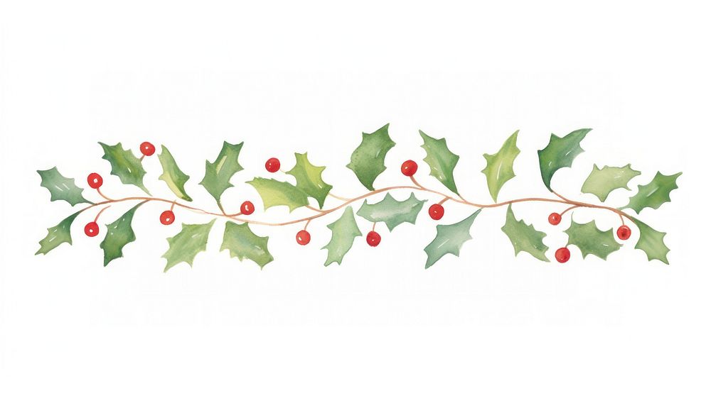Watercolor christmas holly leaves divider | Free Photo Illustration ...