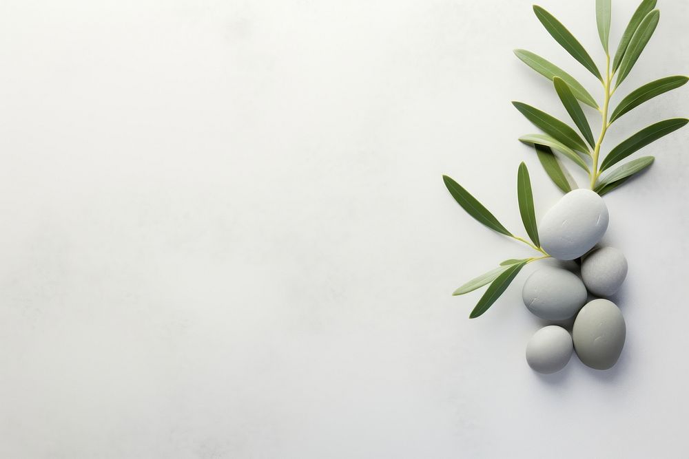 Minimalist zen background herbal plant | Free Photo - rawpixel