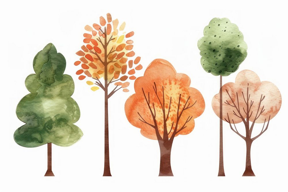 Autumn trees illustration drawing illustrated | Free Photo - rawpixel