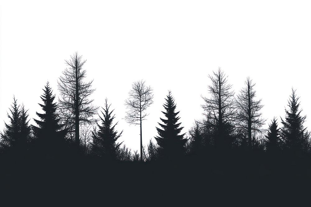 Silhouette vector forest border silhouettes | Free Photo Illustration ...