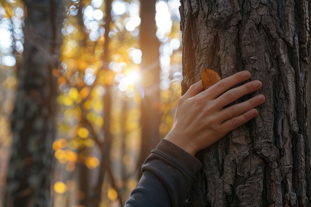Person hugging dry tree hiding | Free Photo - rawpixel