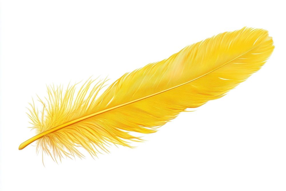 Bright yellow feather on white | Free Photo - rawpixel