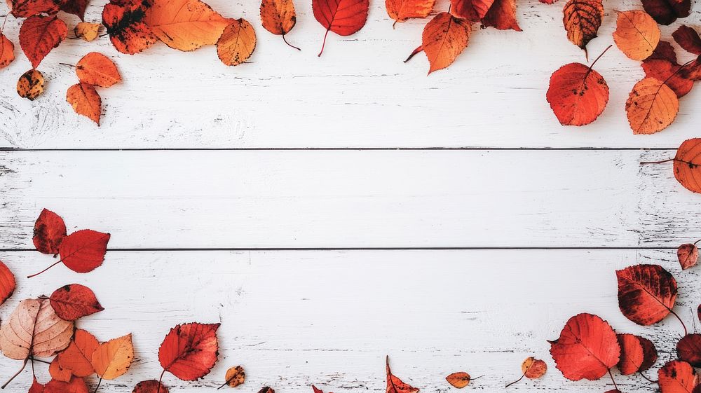 Autumn background autumn leaf symbol. | Free Photo - rawpixel