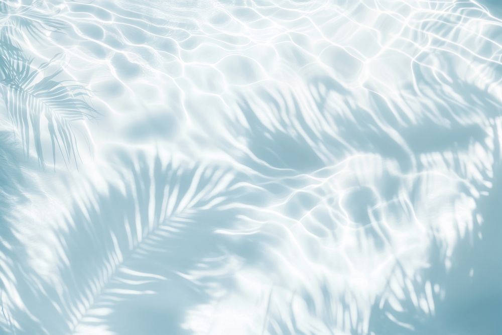 Palm leaves shadow water background | Free Photo - rawpixel