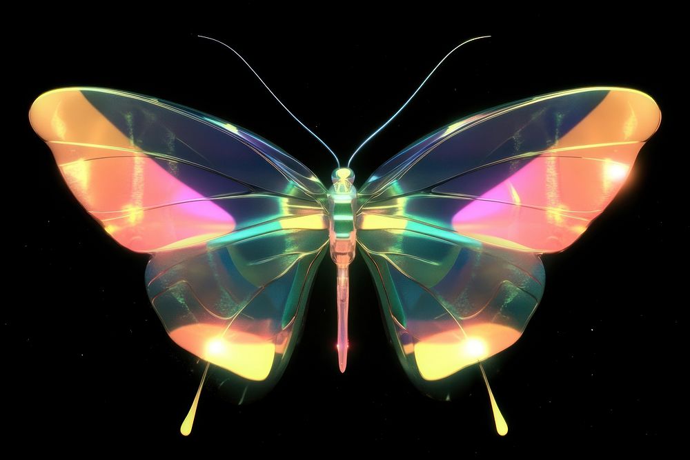 Butterfly insect art invertebrate. | Free Photo Illustration - rawpixel