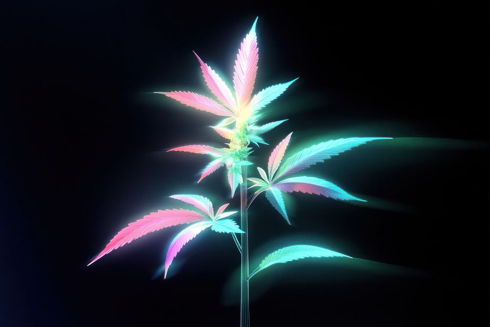Cannabis flower leaves plant leaf | Free Photo Illustration - rawpixel