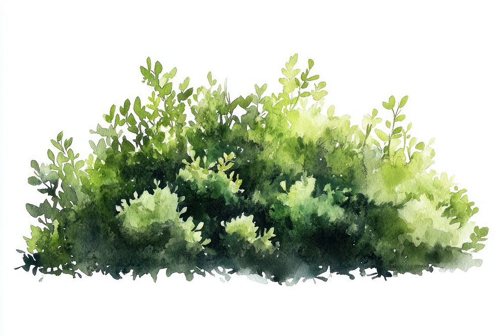 Green bushes art illustration watercolor. | Premium Photo Illustration ...