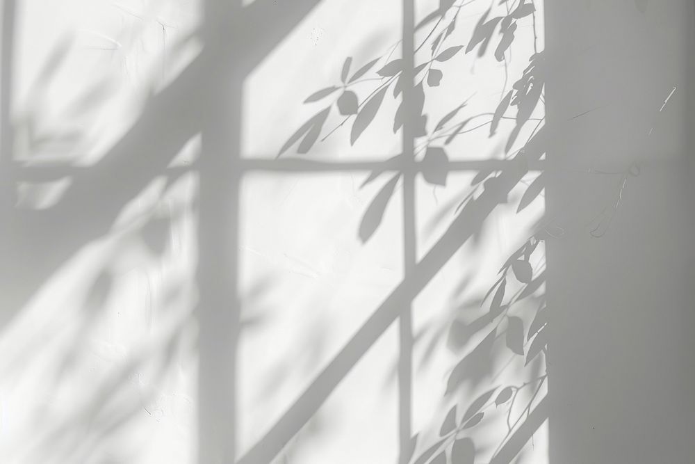 Window shadow white wall architecture. | Free Photo - rawpixel