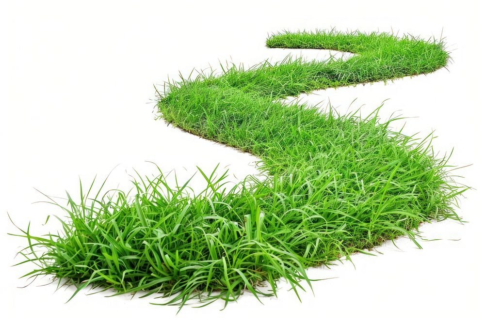 Curved green grass path isolated | Free Photo - rawpixel