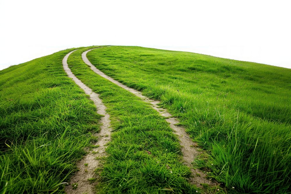 Serene green grassy path landscape | Free Photo - rawpixel