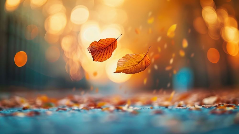 Autumn leaves leaf falling nature. | Free Photo - rawpixel