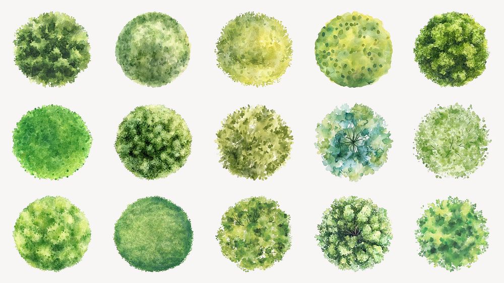 Tree top view design element | Free Photo - rawpixel