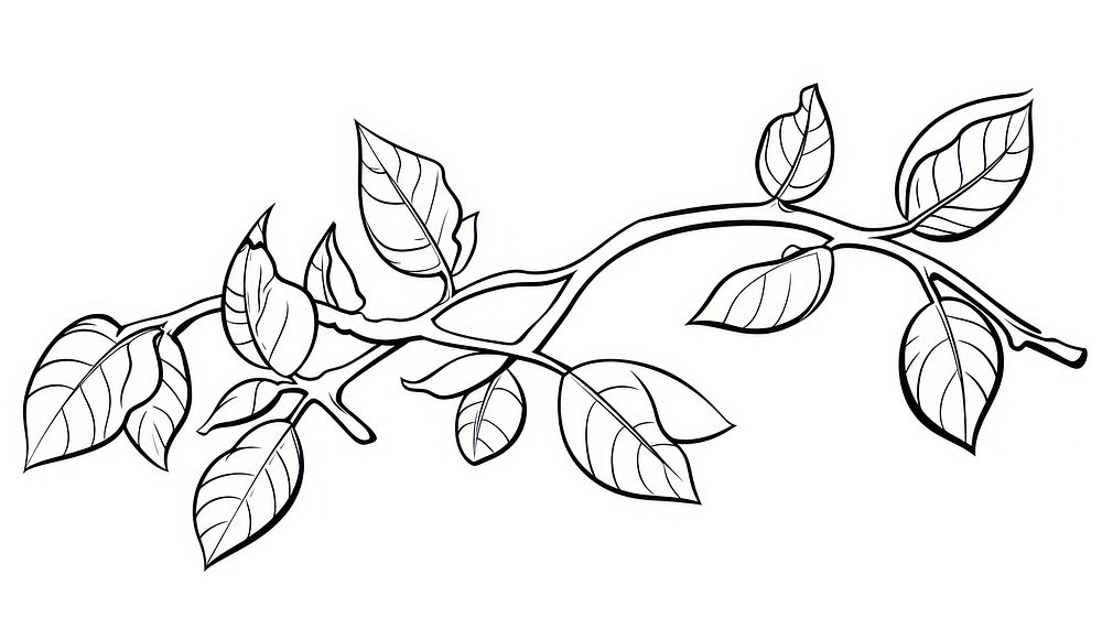 Leave branch art illustration drawing. | Free Photo Illustration - rawpixel
