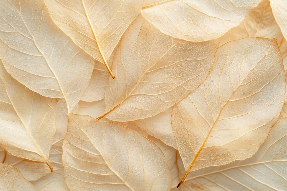 Flower petals texture leaves leaf. | Free Photo - rawpixel