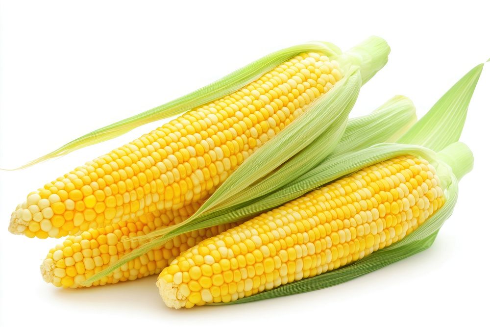 Sweet corn background isolated produce. | Free Photo - rawpixel
