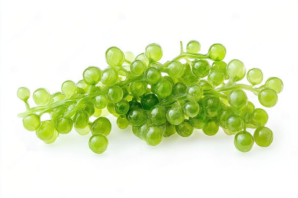 Sea Grapes grapes fruit vitamin-rich. | Free Photo - rawpixel