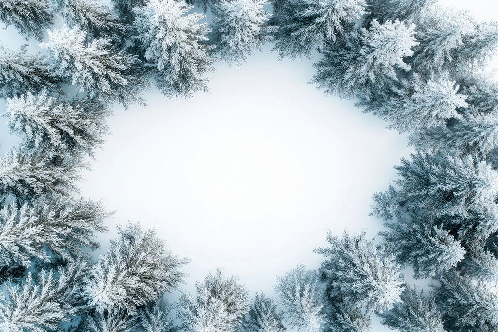 snow forest border background nature | Free Photo - rawpixel
