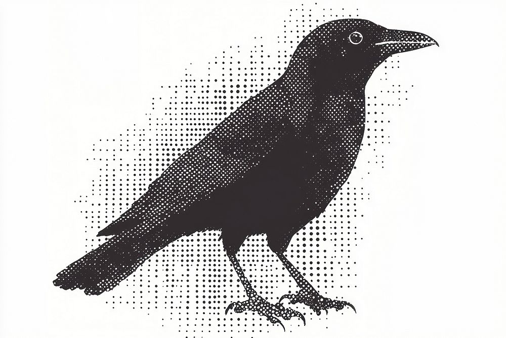 simple full body crow bird | Free Photo Illustration - rawpixel