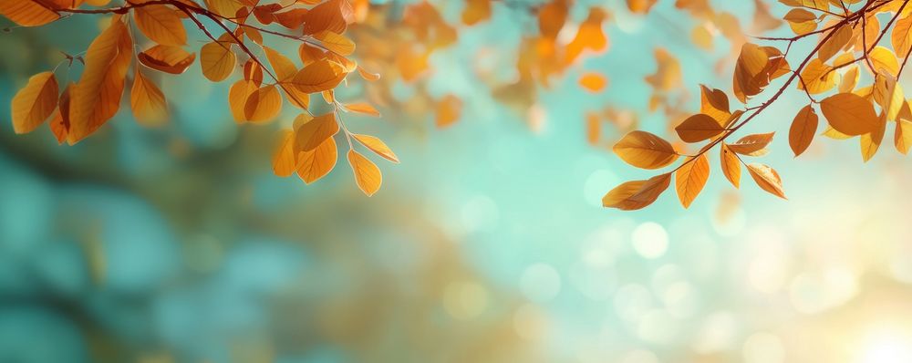 Autumn background sunlight nature leaves. | Free Photo - rawpixel