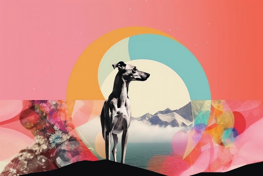Collage Retro dreamy Greyhound mammal | Free Photo Illustration - rawpixel