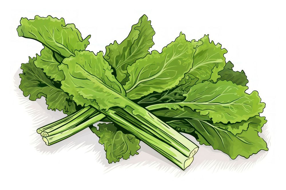 Mustard greens vegetable plant food. | Premium Photo Illustration - rawpixel